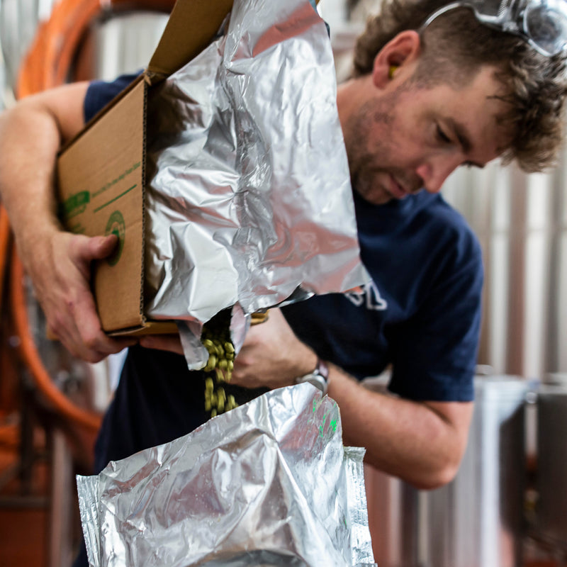 Stomping Ground - Stomping Ground Brewing Co.